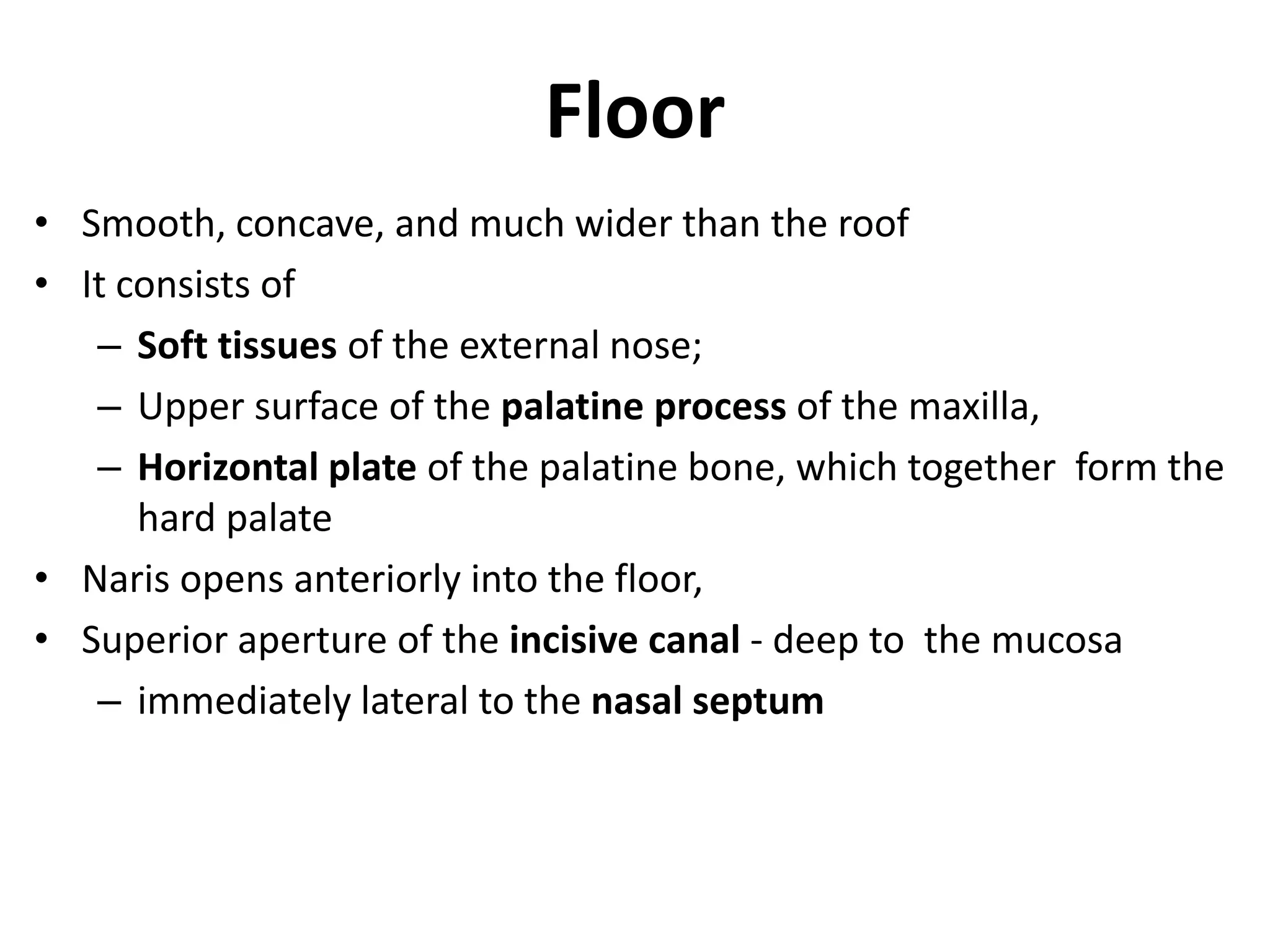 Nasal cavity (1).pptx