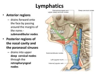 Nasal cavity (1).pptx