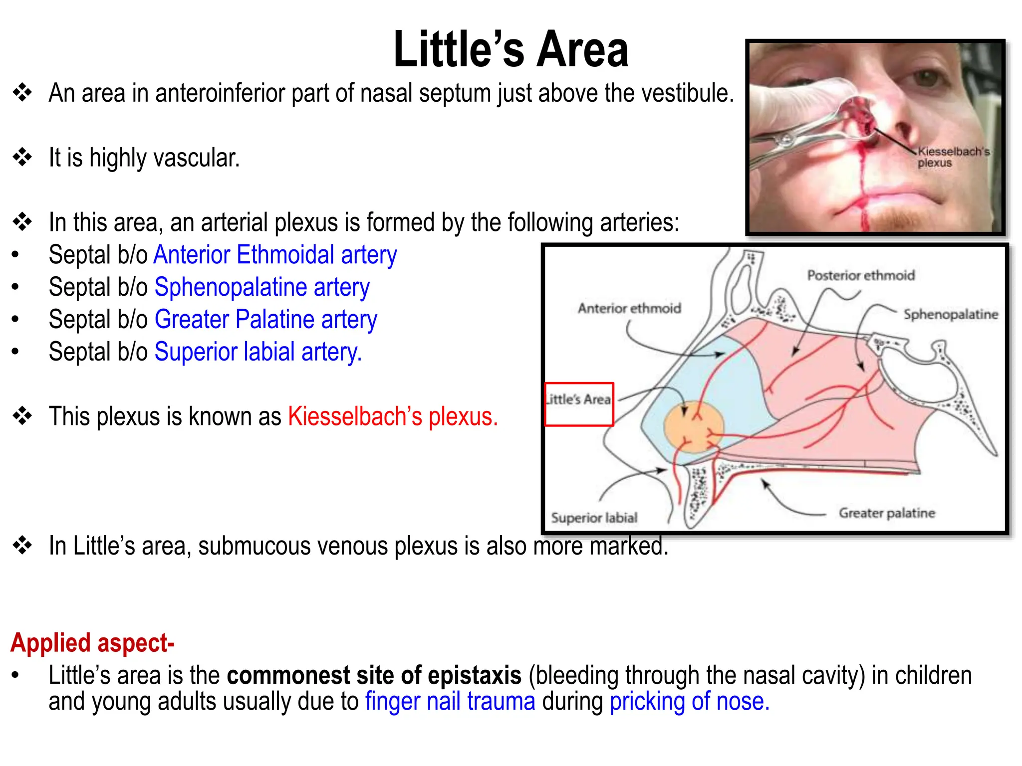 nasal_cavity human anatomy lateral wall and venous drainage_1.pptx