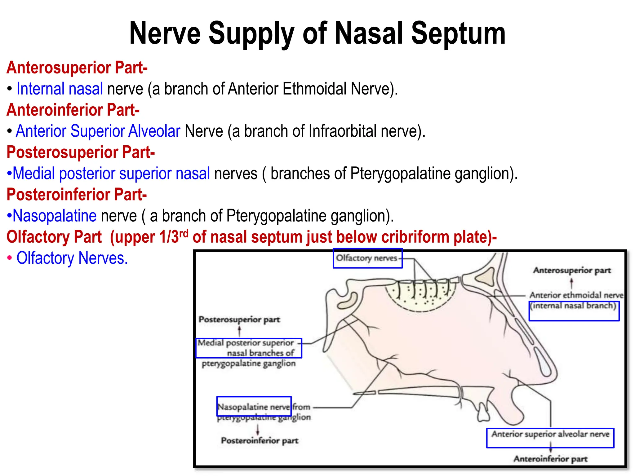 nasal_cavity human anatomy lateral wall and venous drainage_1.pptx