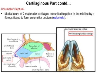 nasal_cavity human anatomy lateral wall and venous drainage_1.pptx