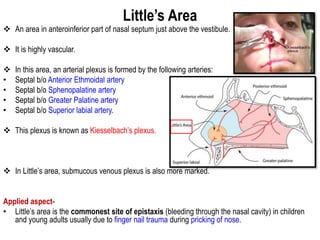 nasal_cavity human anatomy lateral wall and venous drainage_1.pptx