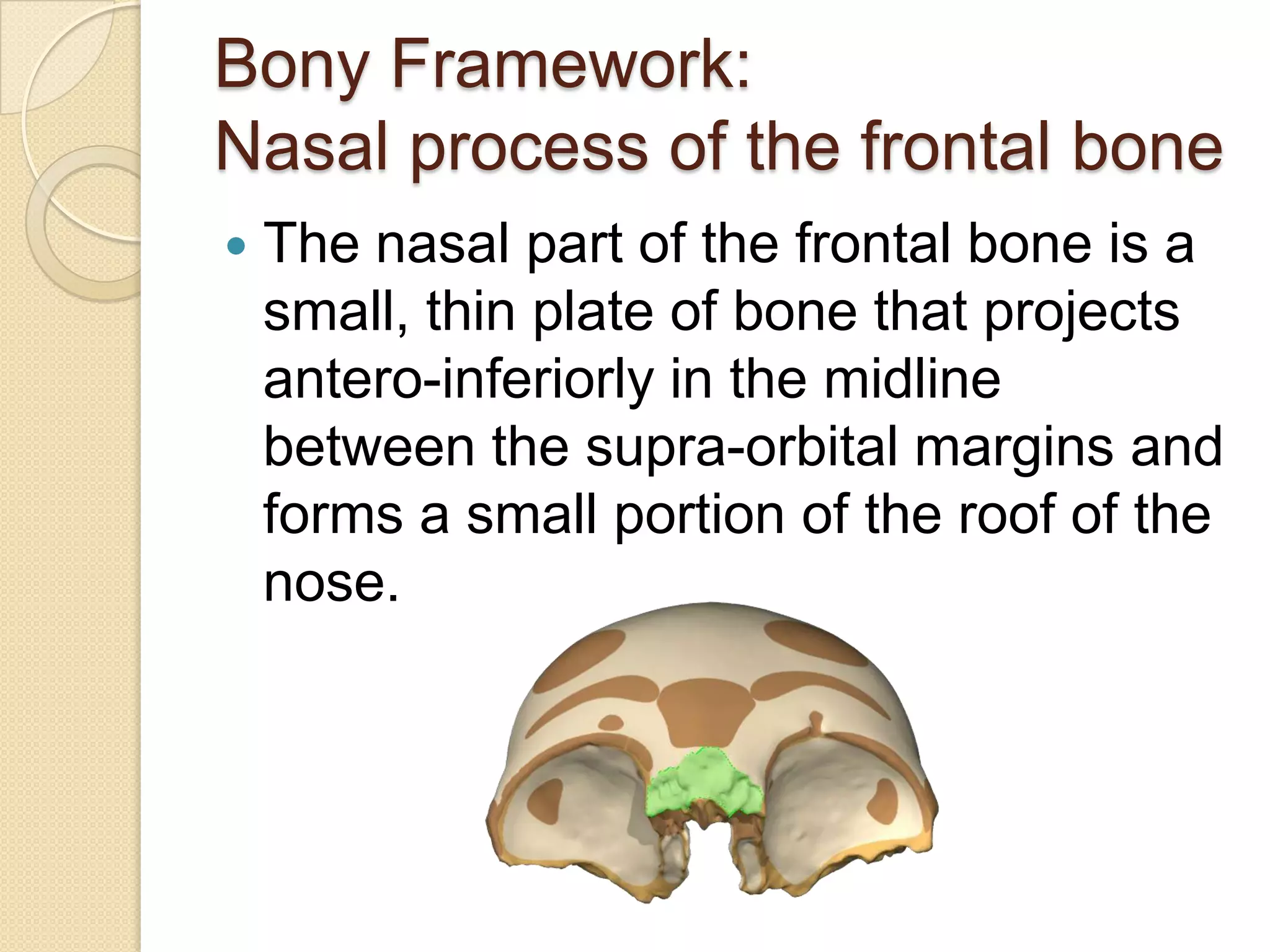 Nasal cavity and paranasal sinuses | PPTX