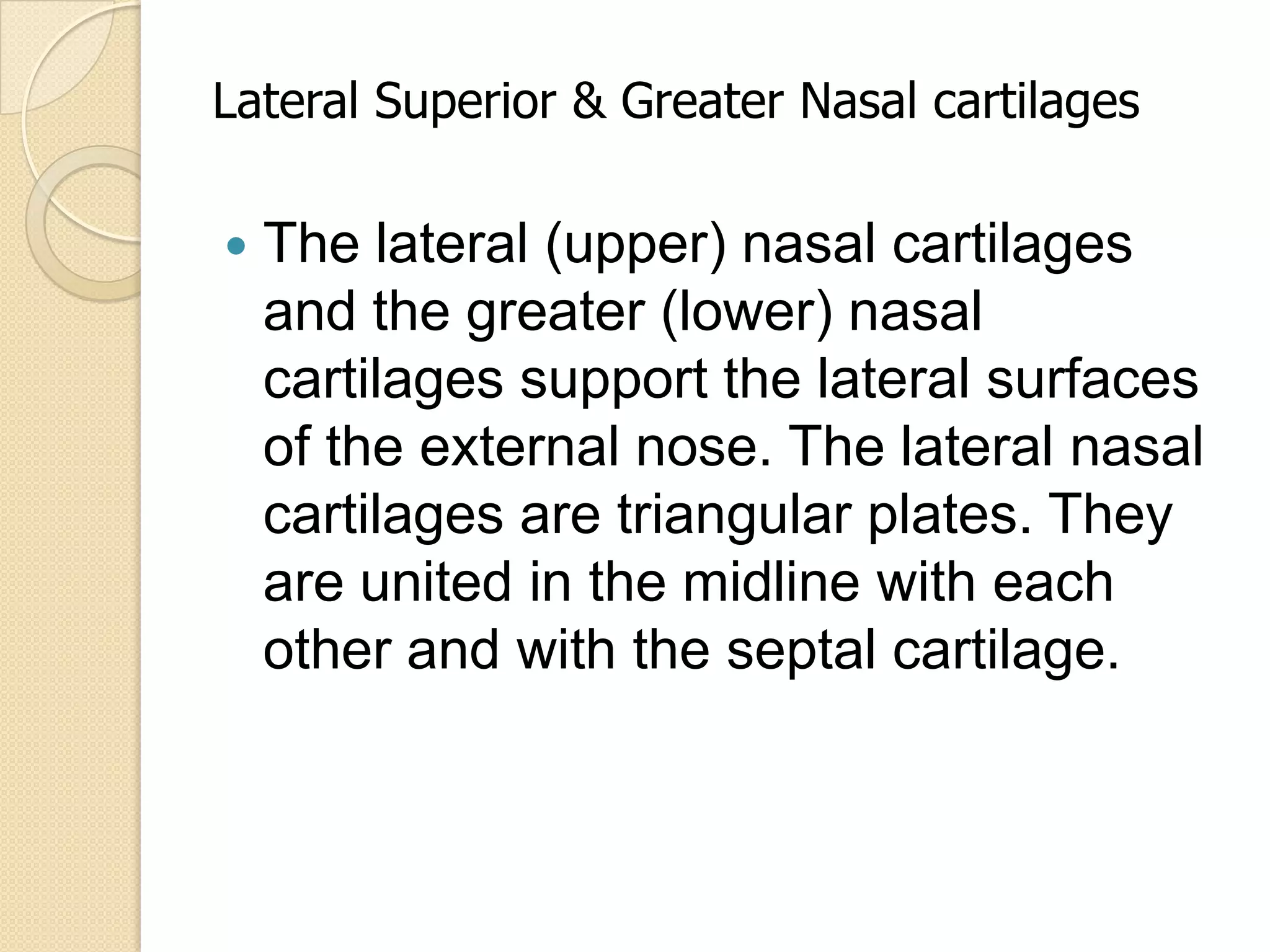 Nasal cavity and paranasal sinuses | PPTX