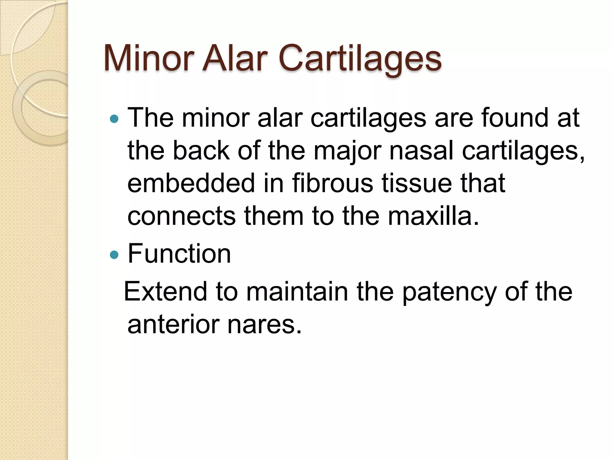 Nasal cavity and paranasal sinuses | PPTX
