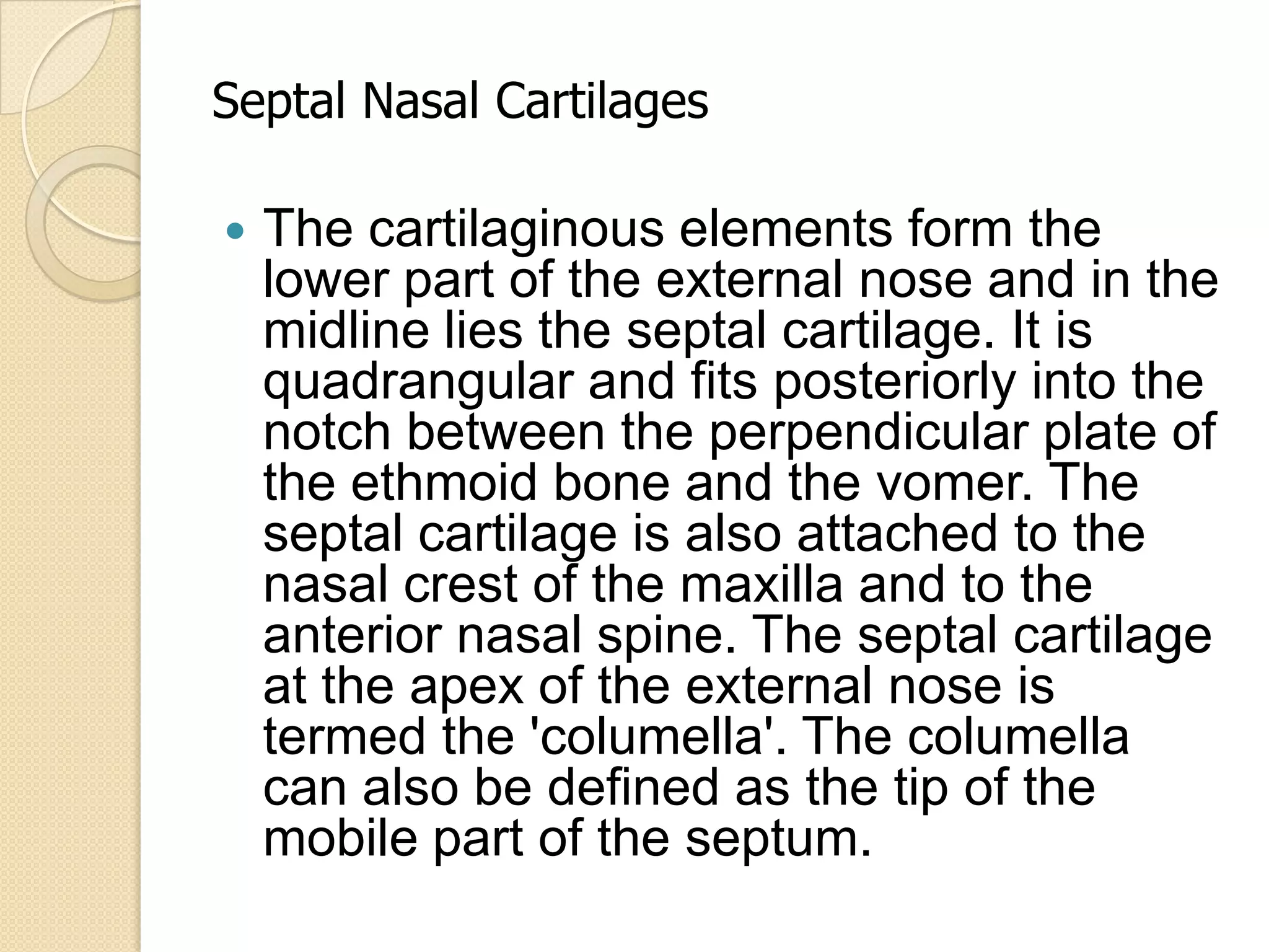 Nasal cavity and paranasal sinuses | PPTX
