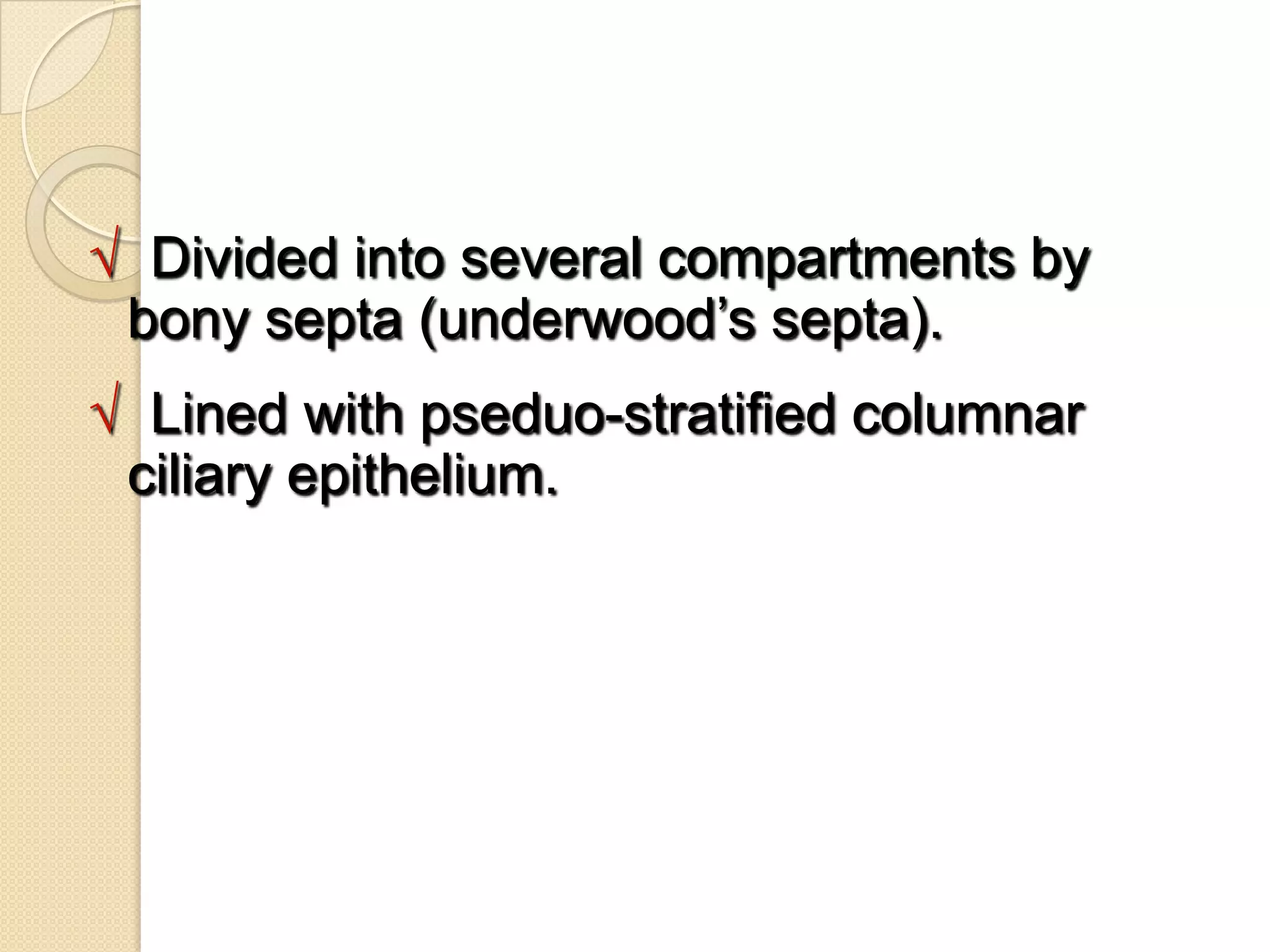 Nasal cavity and paranasal sinuses | PPTX