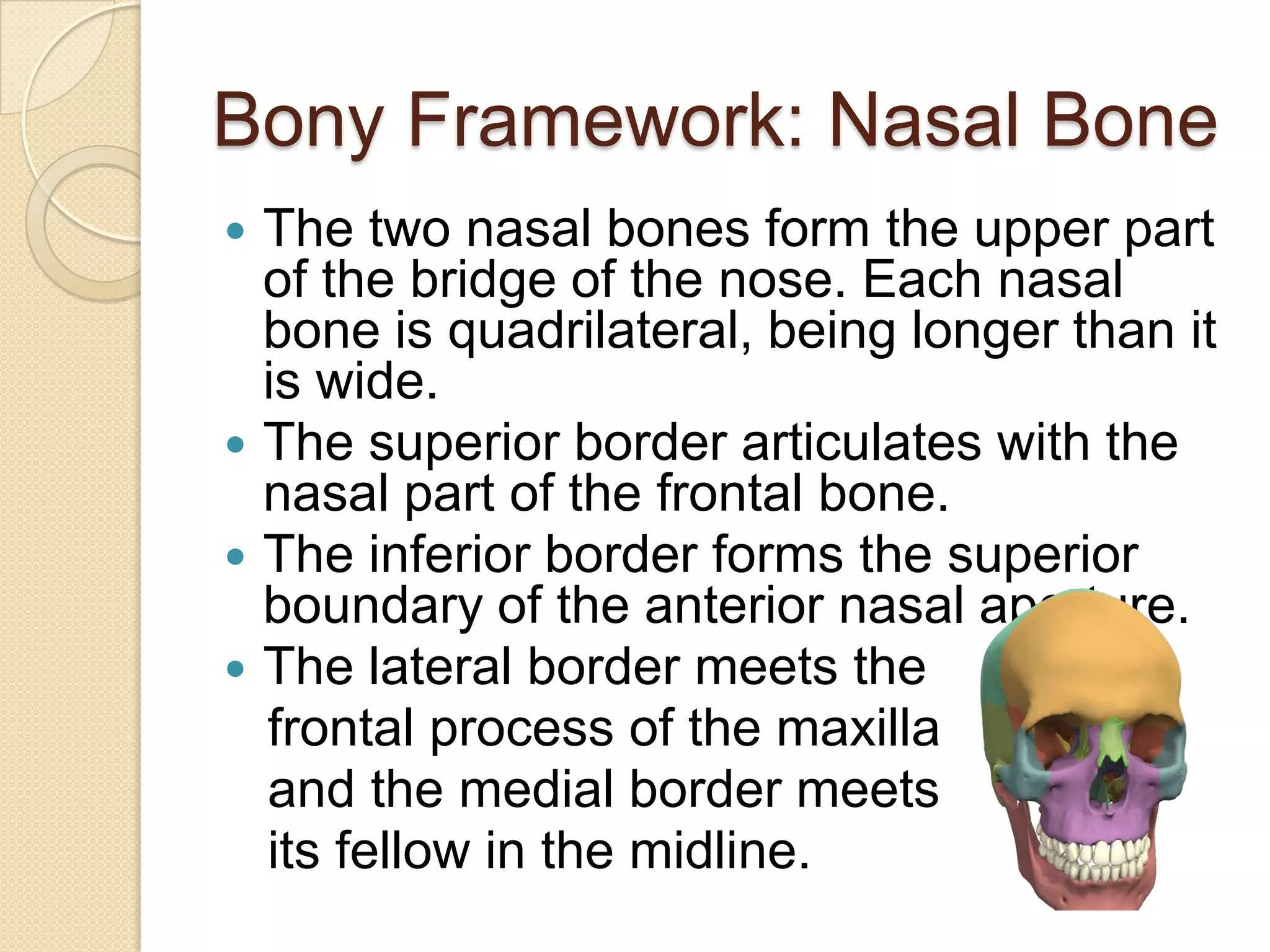 Nasal cavity and paranasal sinuses | PPTX