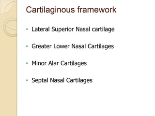 Nasal cavity and paranasal sinuses | PPTX