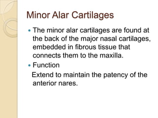 Nasal cavity and paranasal sinuses | PPTX