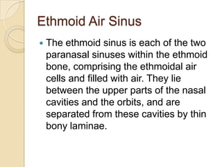 Nasal cavity and paranasal sinuses | PPTX
