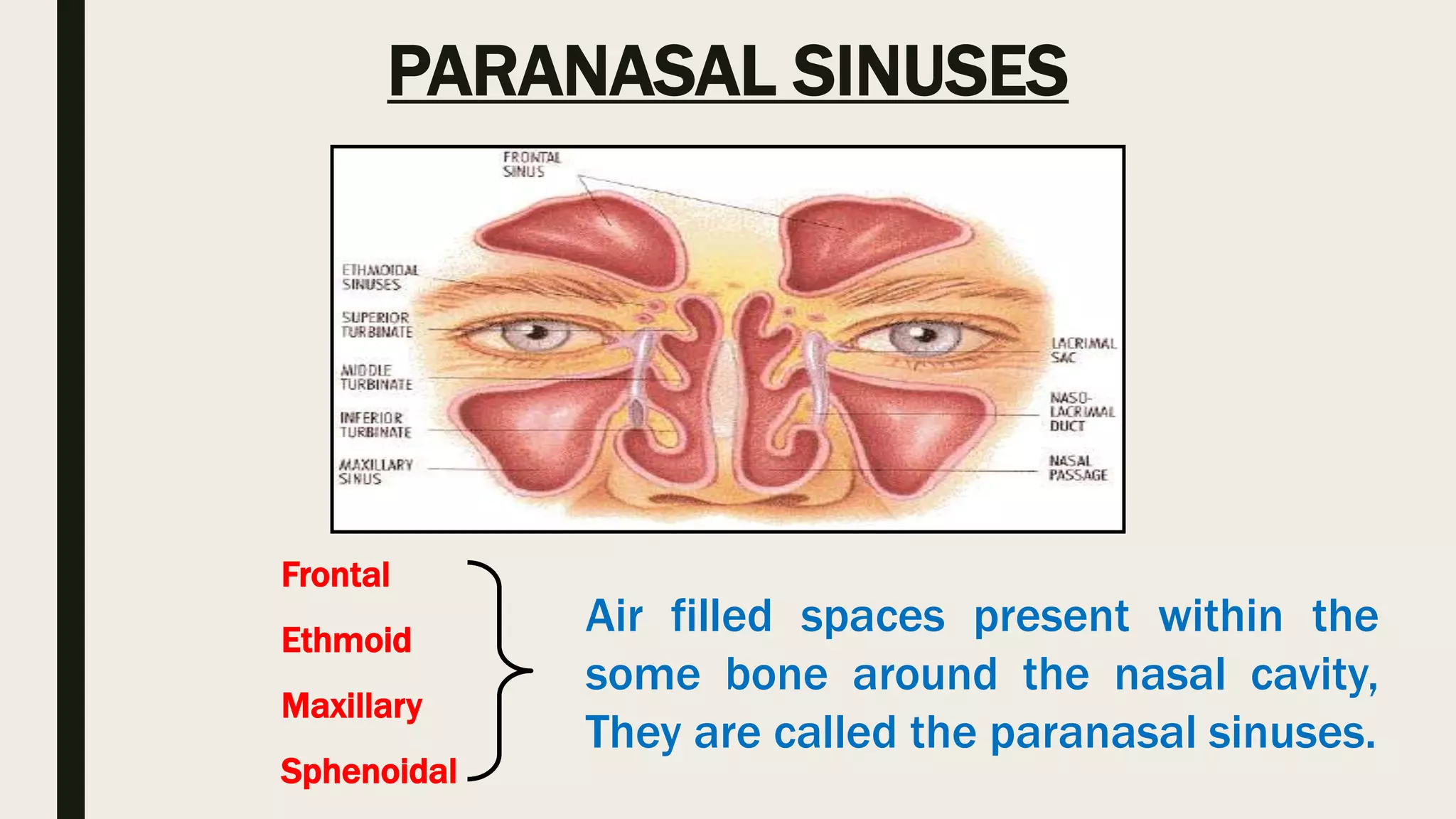 Nasal cavity and paranasal sinuses | PPTX
