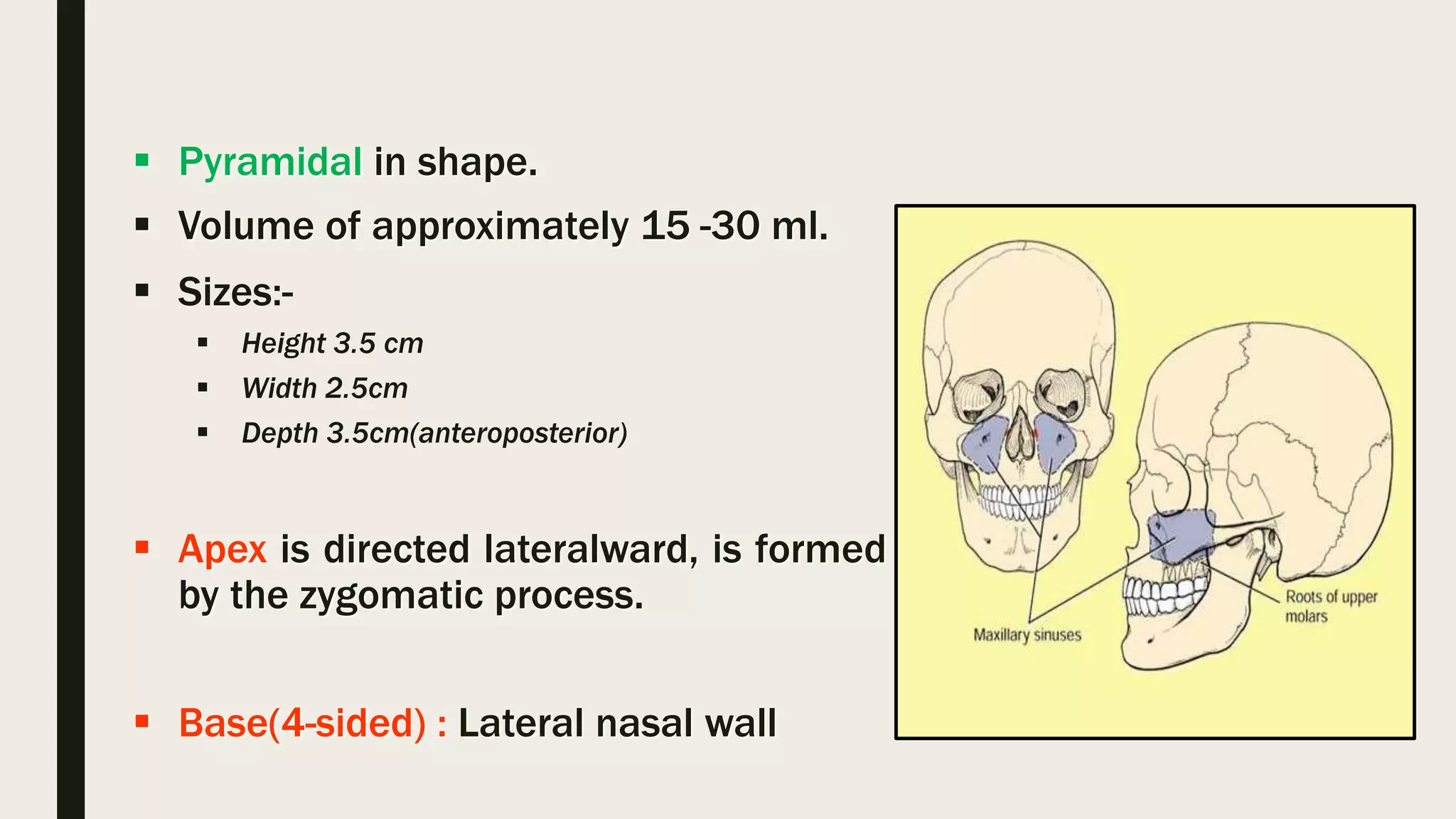 Nasal cavity and paranasal sinuses | PPTX