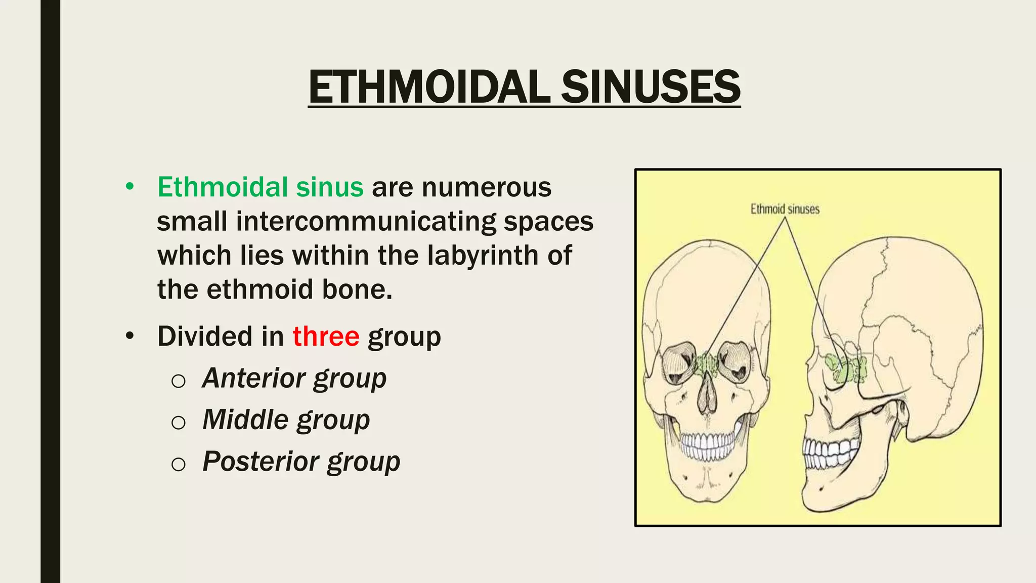 Nasal cavity and paranasal sinuses | PPTX
