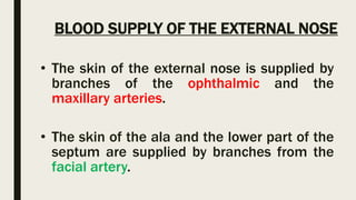 Nasal cavity and paranasal sinuses | PPTX