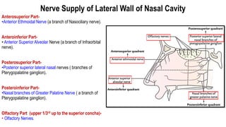 nasal_cavity_II[1].pptx