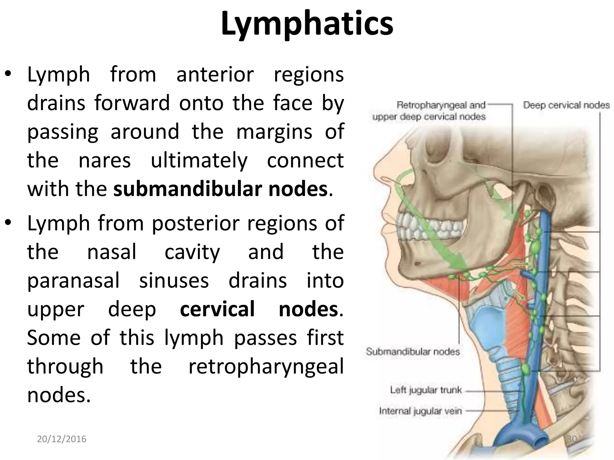 Nasal cavity & paranasal sinuses | PPTX | Ear, Nose and Throat ...