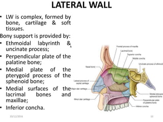 Nasal cavity & paranasal sinuses | PPTX | Ear, Nose and Throat ...