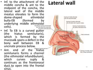 Nasal cavity & paranasal sinuses | PPTX | Ear, Nose and Throat ...