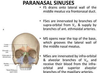 Nasal cavity & paranasal sinuses | PPTX | Ear, Nose and Throat ...