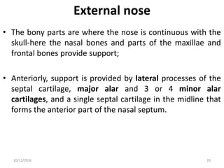 Nasal cavity & paranasal sinuses | PPTX