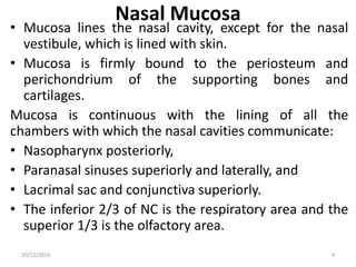 Nasal cavity & paranasal sinuses | PPTX