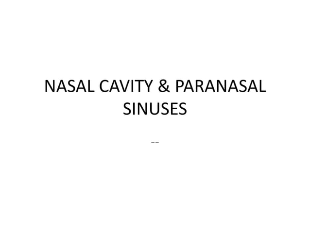 NASAL CAVITY & PNS paranasal air sinuses.pptx | Ear, Nose and Throat Conditions | Diseases and ...