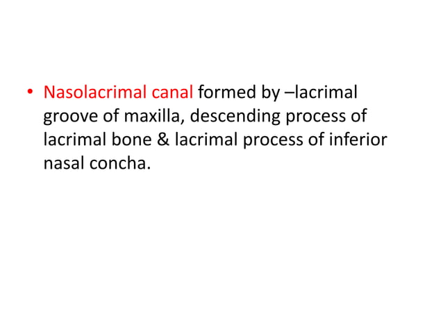 NASAL CAVITY & PNS paranasal air sinuses.pptx | Ear, Nose and Throat Conditions | Diseases and ...