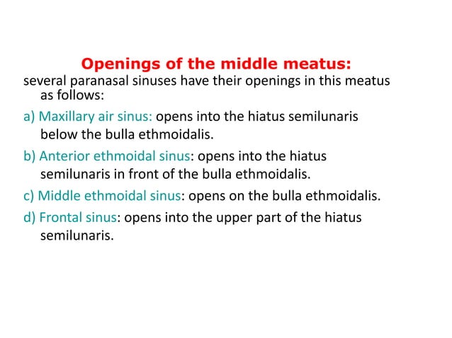 NASAL CAVITY & PNS paranasal air sinuses.pptx | Ear, Nose and Throat Conditions | Diseases and ...