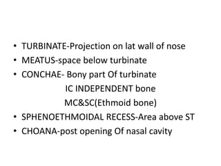 NASAL CAVITY & PNS paranasal air sinuses.pptx