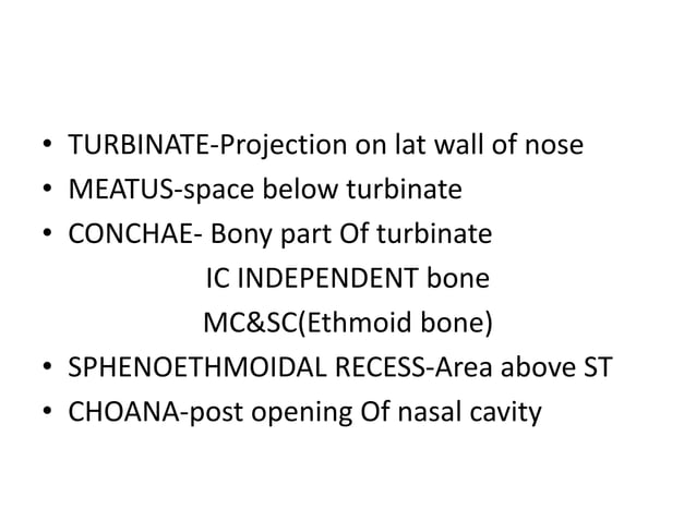 NASAL CAVITY & PNS paranasal air sinuses.pptx | Ear, Nose and Throat Conditions | Diseases and ...