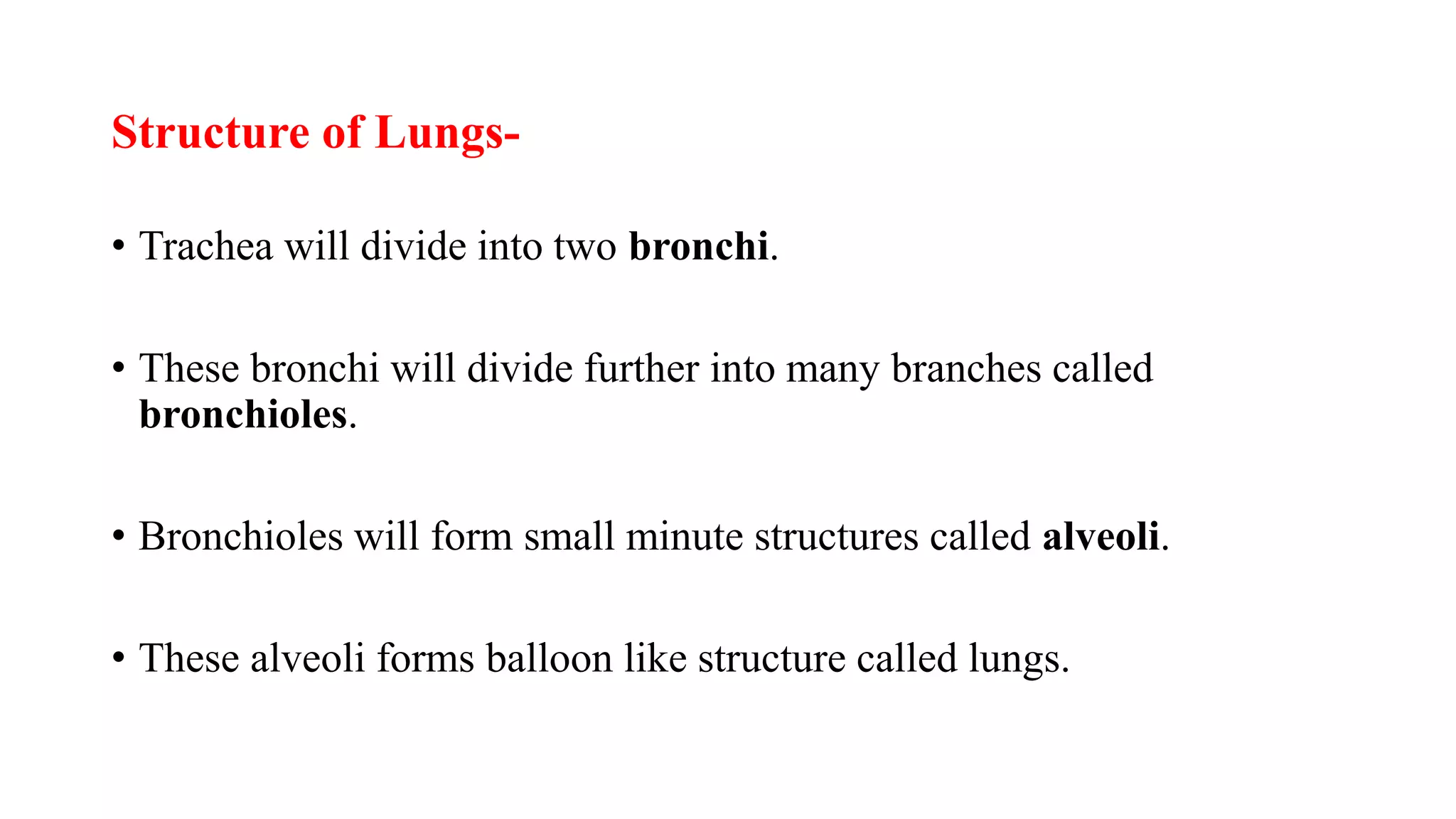 Nasal cavity, trachea and structure of lungs - Copy.pptx