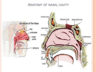 Nasal Drug Delivery .pptx