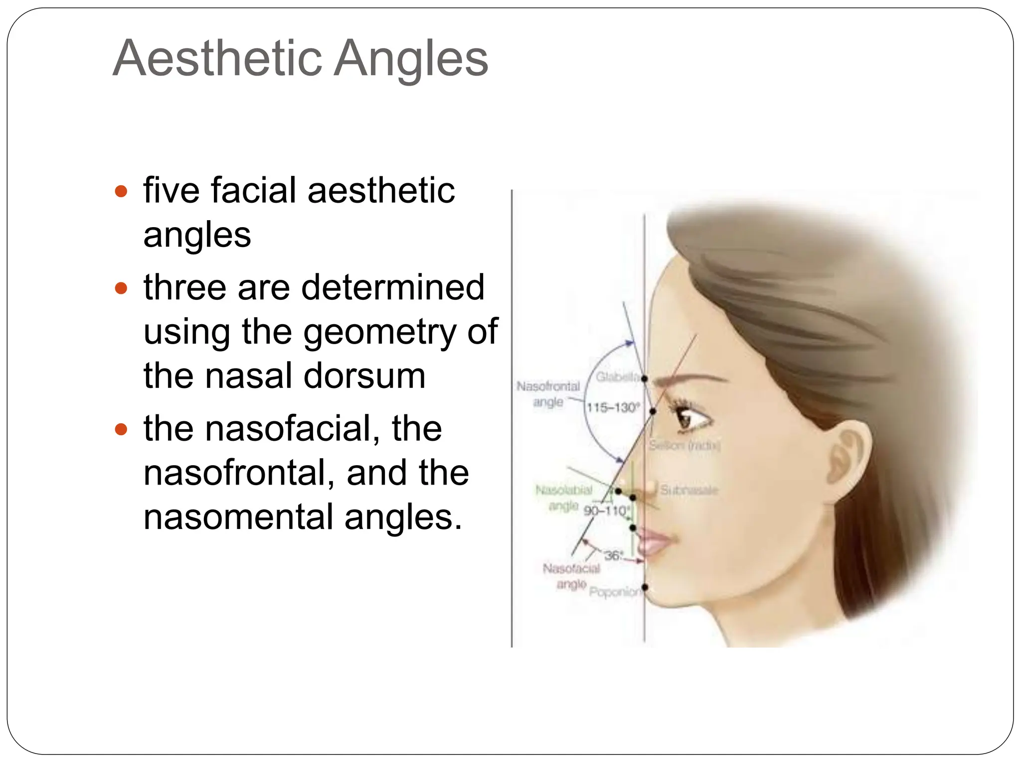 Nasal dorsum 2023.pptx