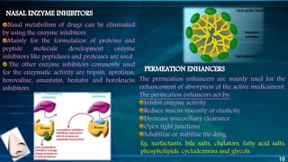 Nasal drug delivery | PPTX