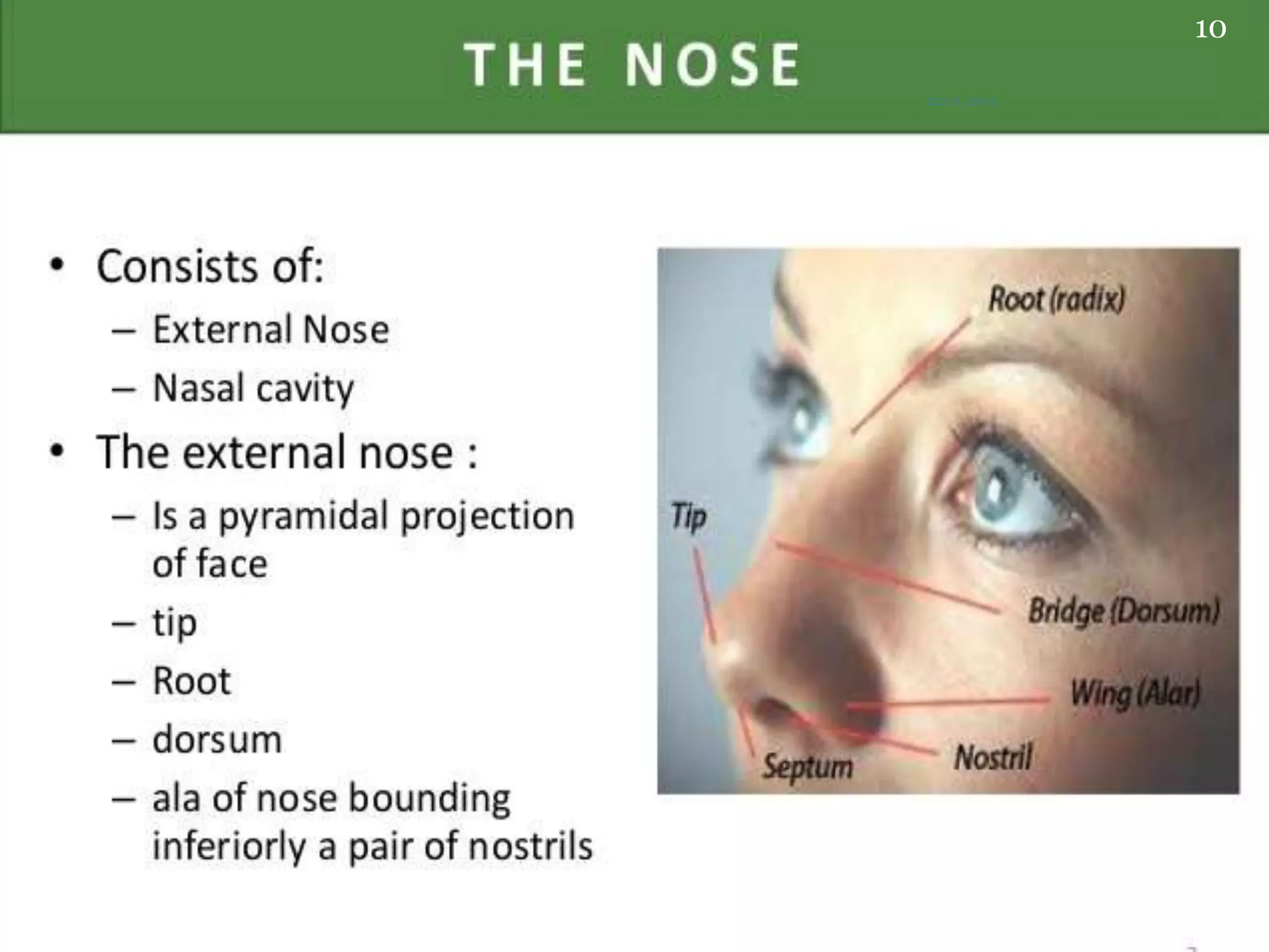 Nasal drug delivery sysems | PPTX