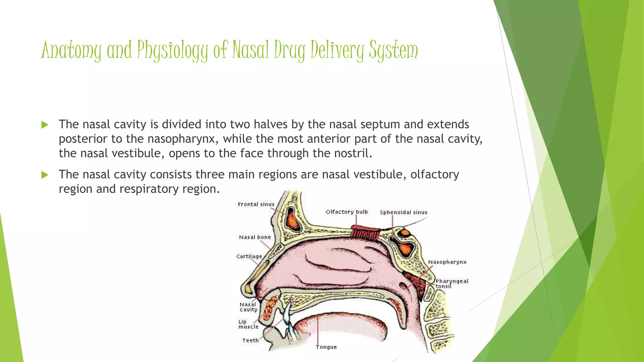 Nasal drug delivery system | PPTX | Ear, Nose and Throat Conditions ...