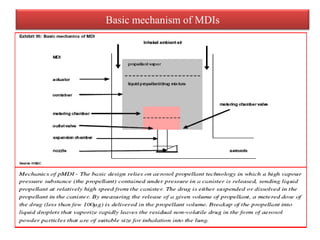 Nasal drug delivery sytem 1 | PPTX | Lung and Respiratory Health ...