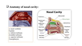 Nasal formulations -anatomy physiology barriers mechanism and factors.pptx