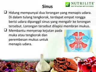 Nasal health workshop (BM) | PPT
