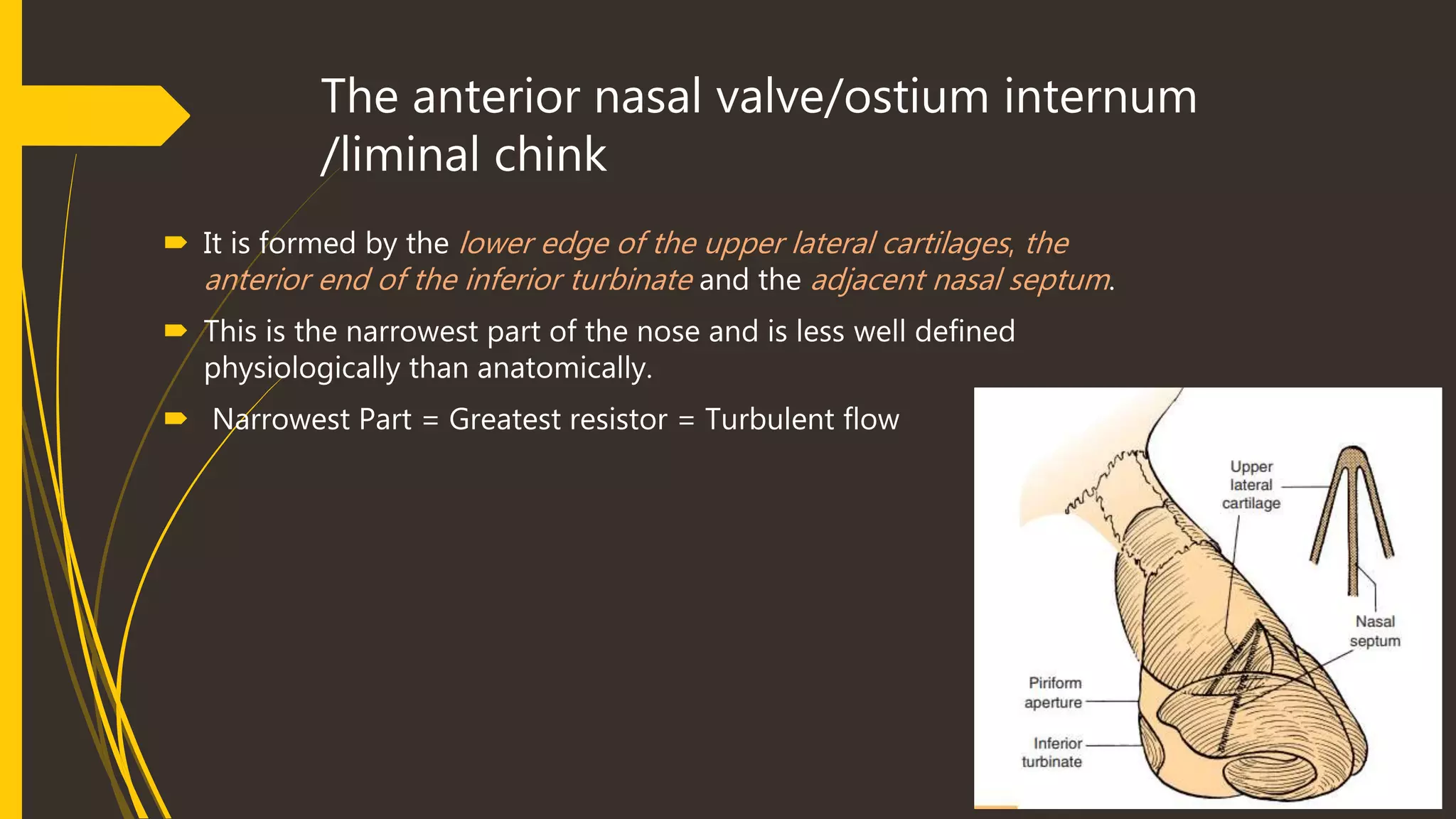 Nasal & paranasal sinus physiology beba | PPTX