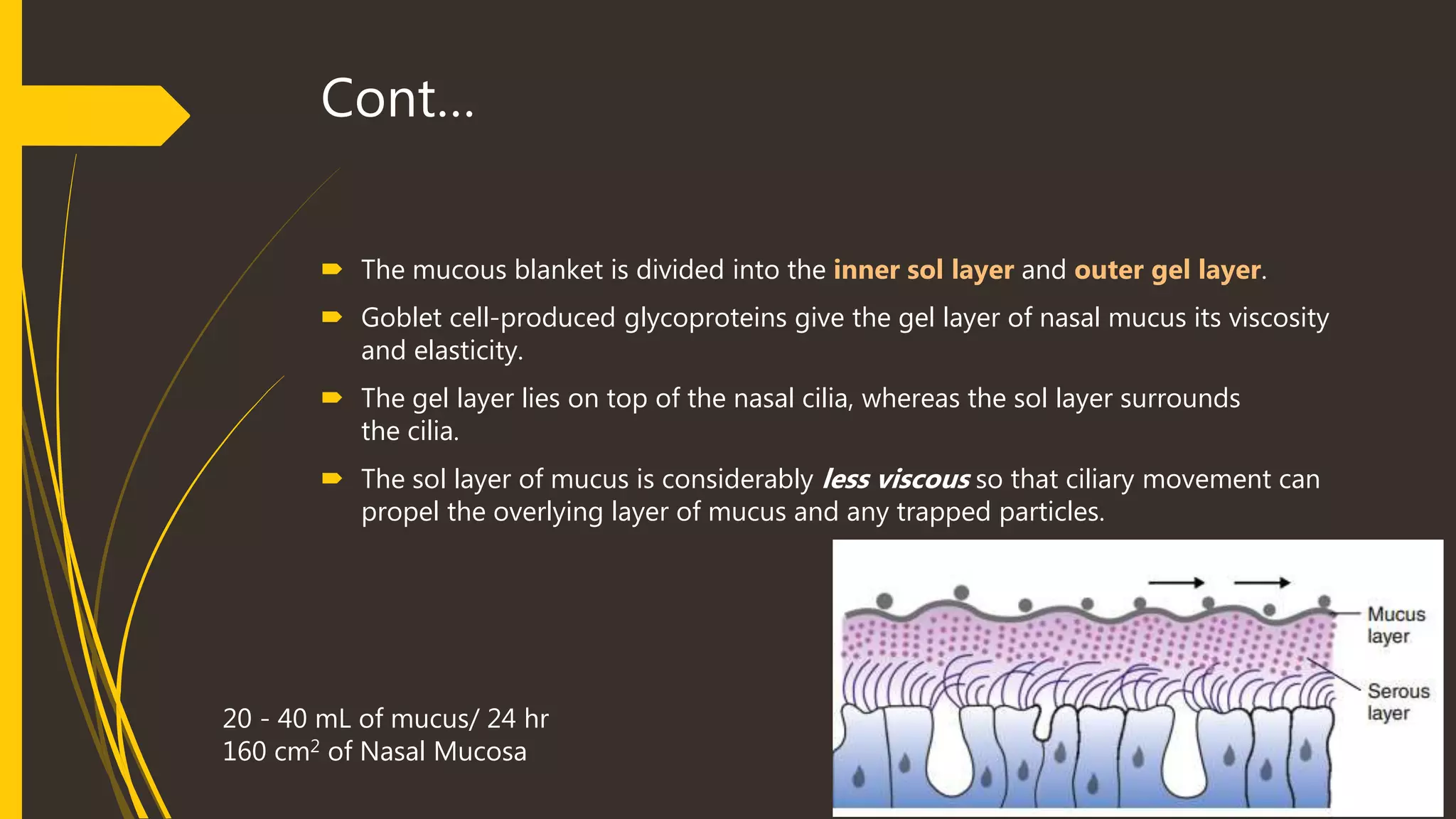 Nasal & paranasal sinus physiology beba | PPTX