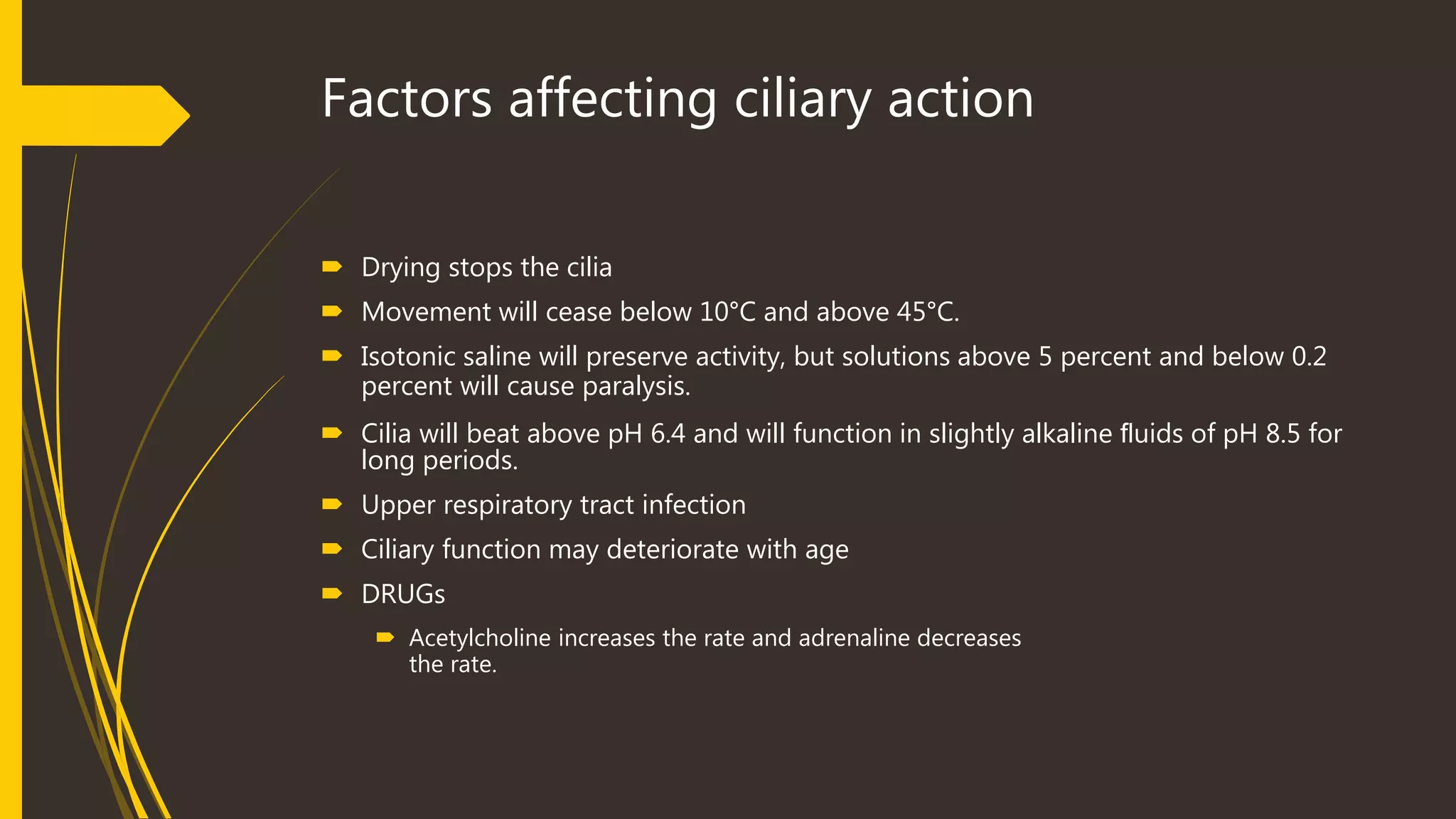Nasal & paranasal sinus physiology beba | PPTX