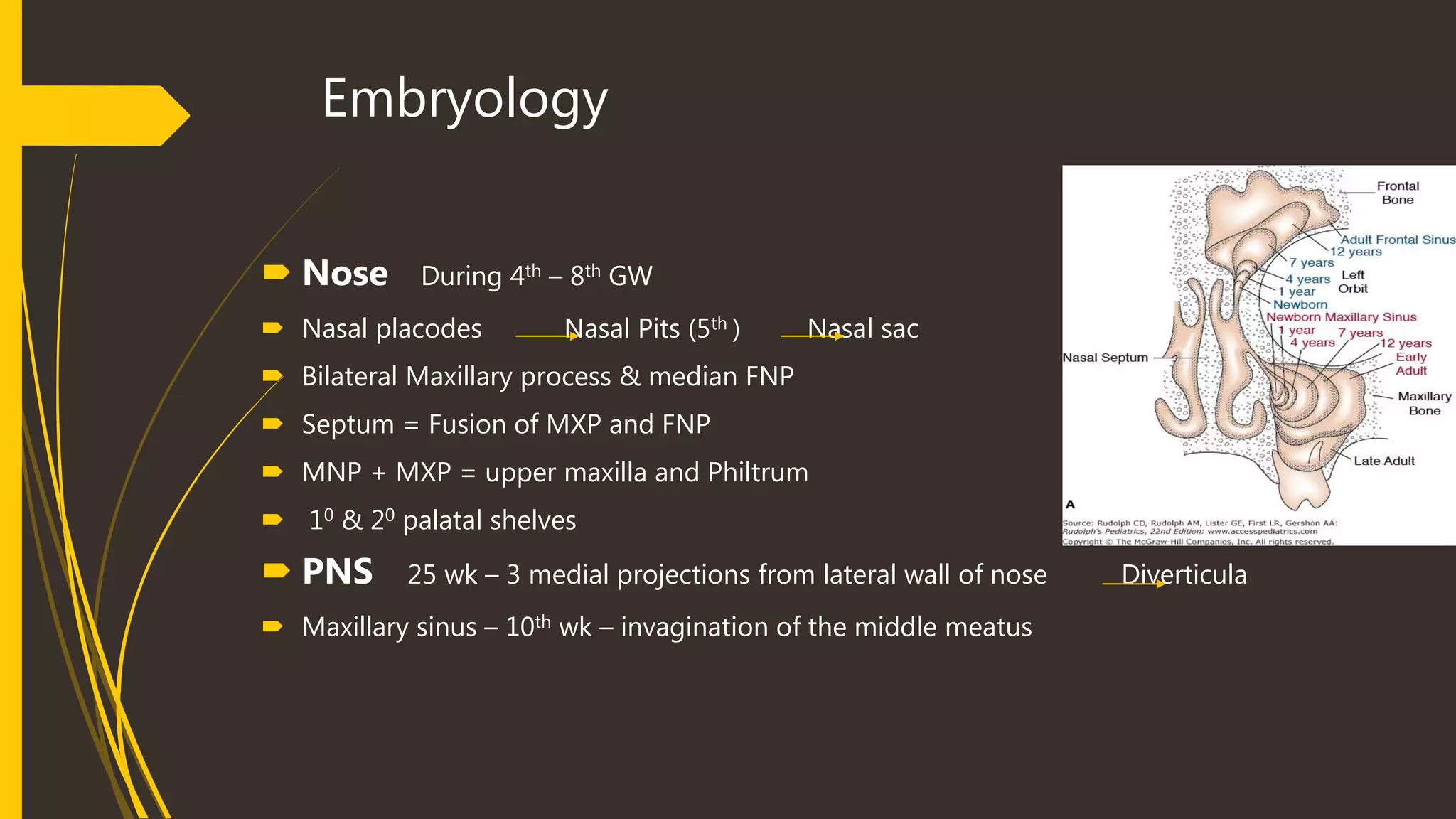 Nasal & paranasal sinus physiology beba | PPTX