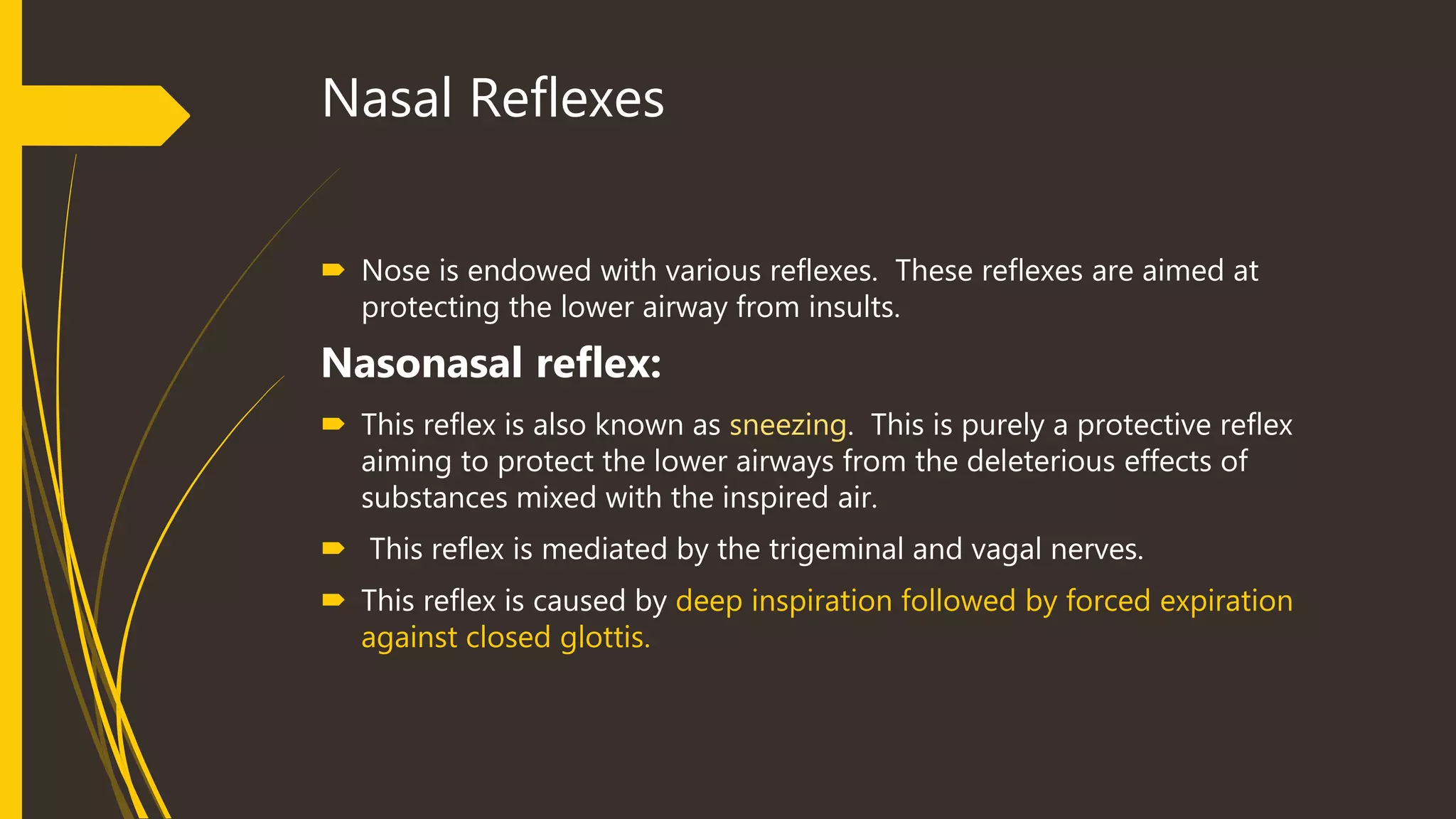 Nasal & paranasal sinus physiology beba | PPTX
