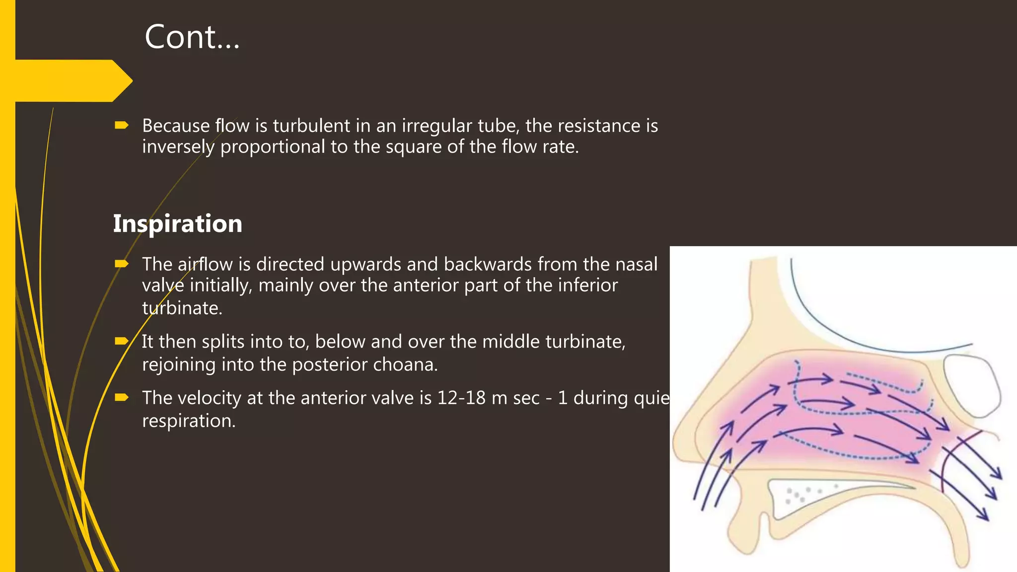 Nasal & paranasal sinus physiology beba | PPTX