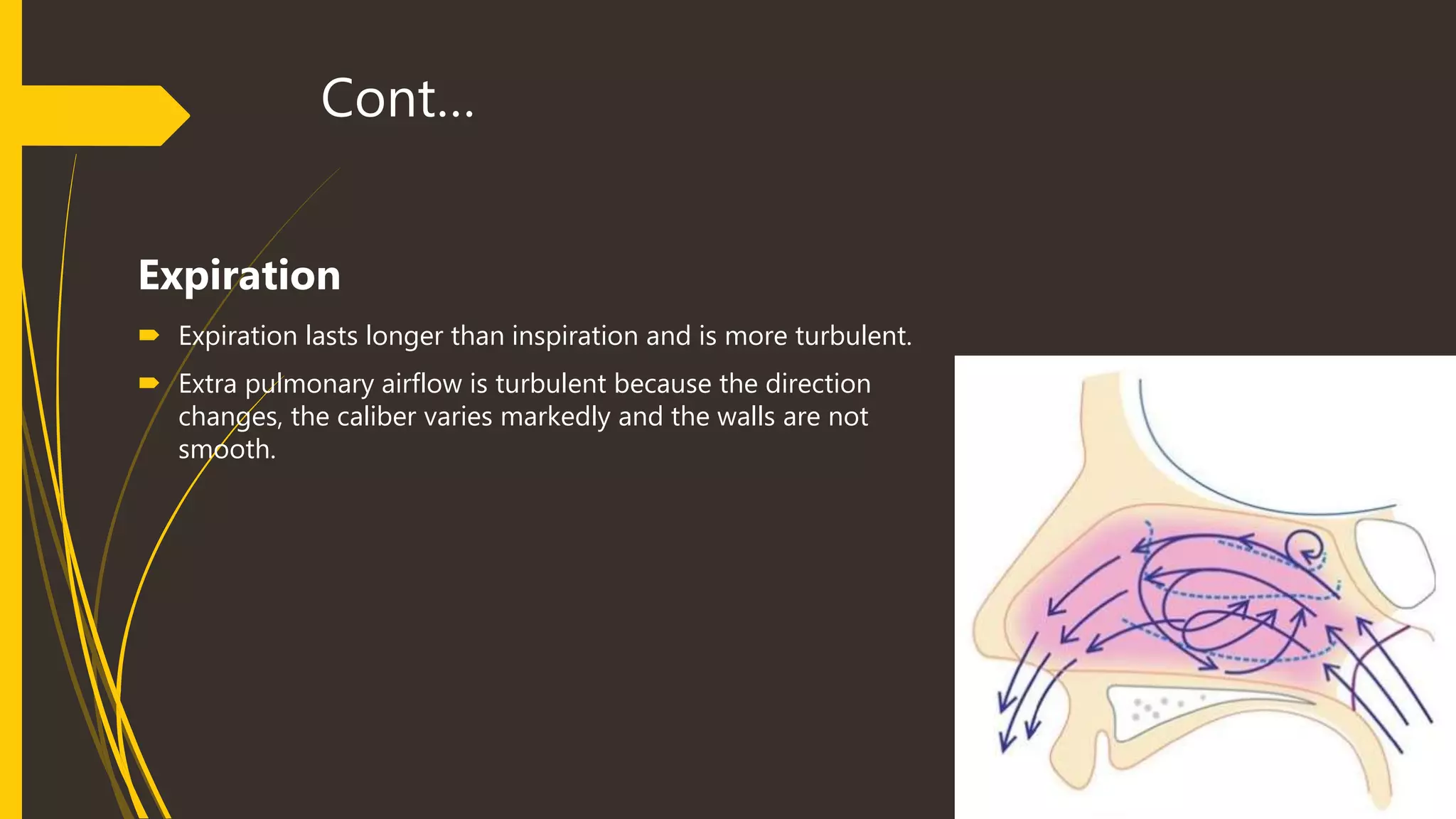 Nasal & paranasal sinus physiology beba | PPTX