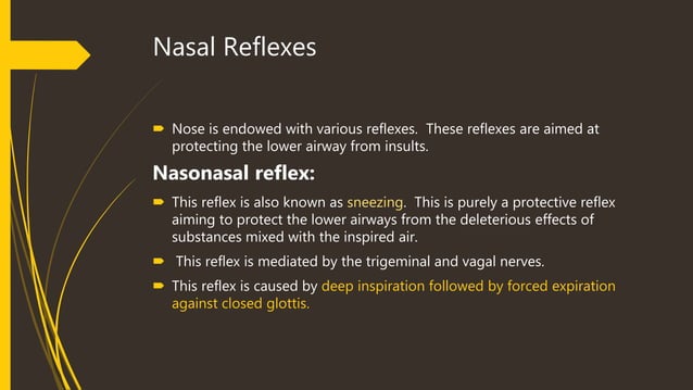 Nasal & paranasal sinus physiology beba | PPTX | Ear, Nose and Throat ...