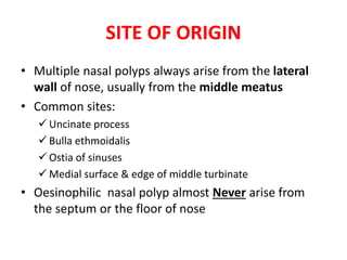 nasal polyp abu zneid.pptx | Ear, Nose and Throat Conditions | Diseases ...