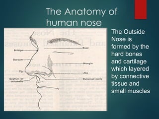 nasal polyp fix 2 koass haji tht 2016 pptx | PPTX